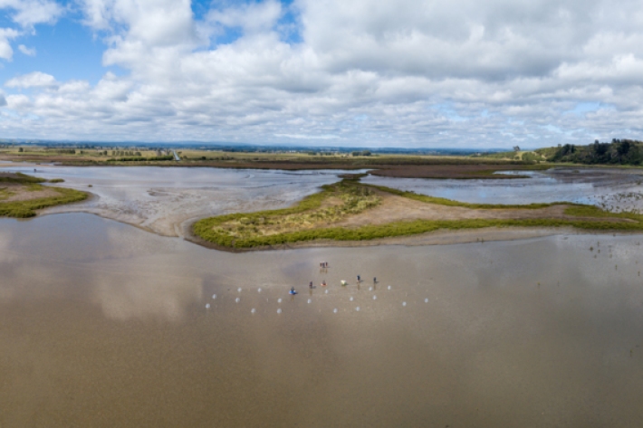 Tides | Earth Sciences New Zealand | NIWA